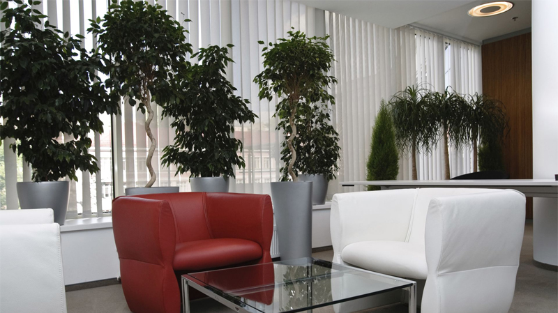 Published April 23, 2024